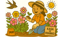 Learn Why “Mayo” Means May in Spanish - Kasa De Franko